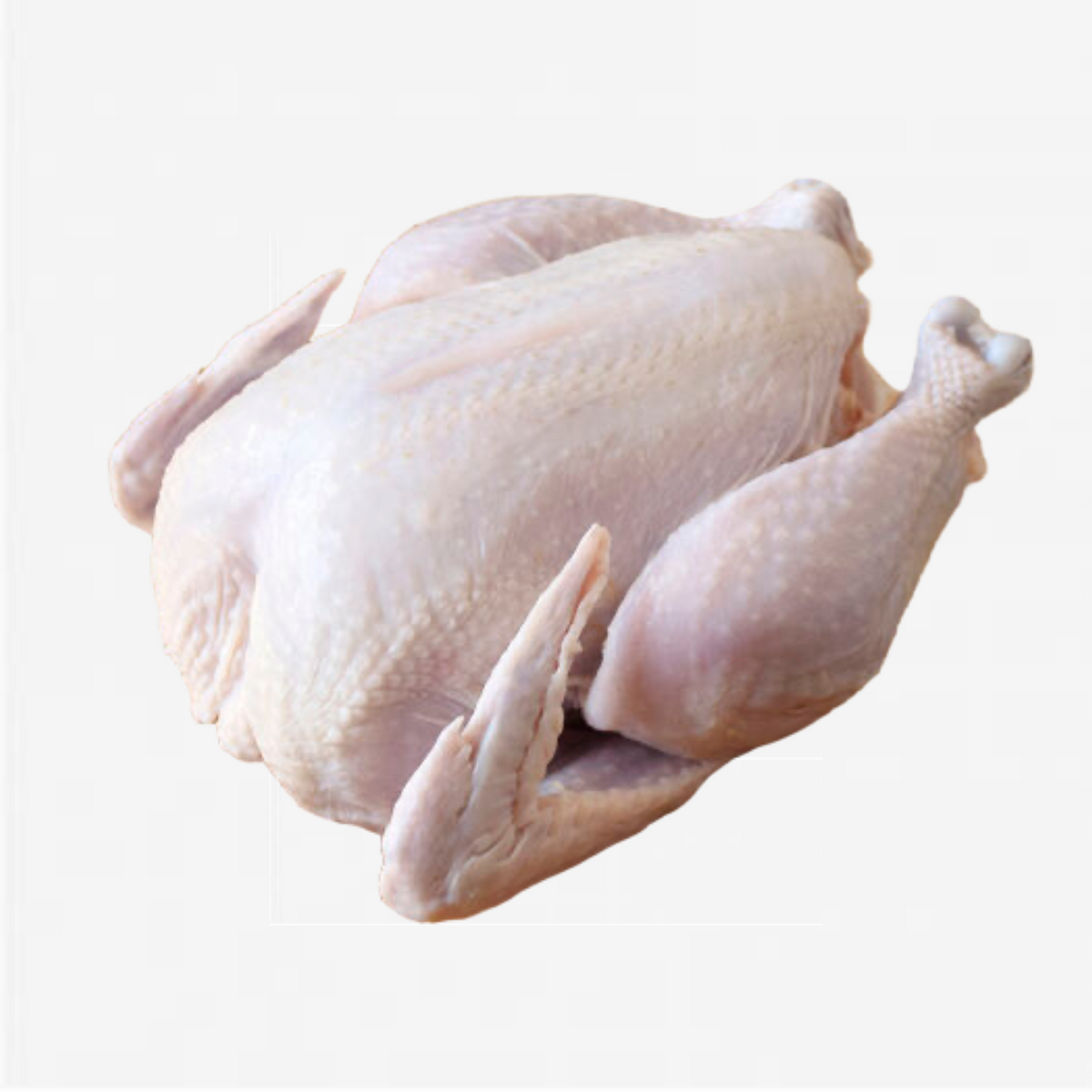 Broiler Chicken Meat